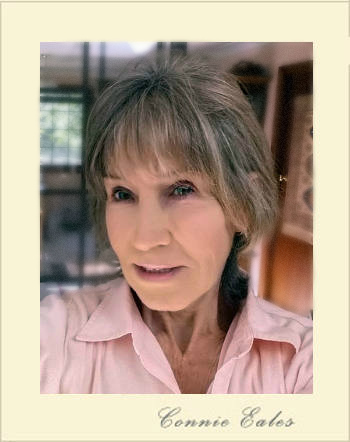 CONNIE EALES | author | writer | artist – Author of SECRETS THROUGH THE ...